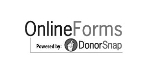 Online Donation platform & Fundraising Software Nonprofits | DonorSnap